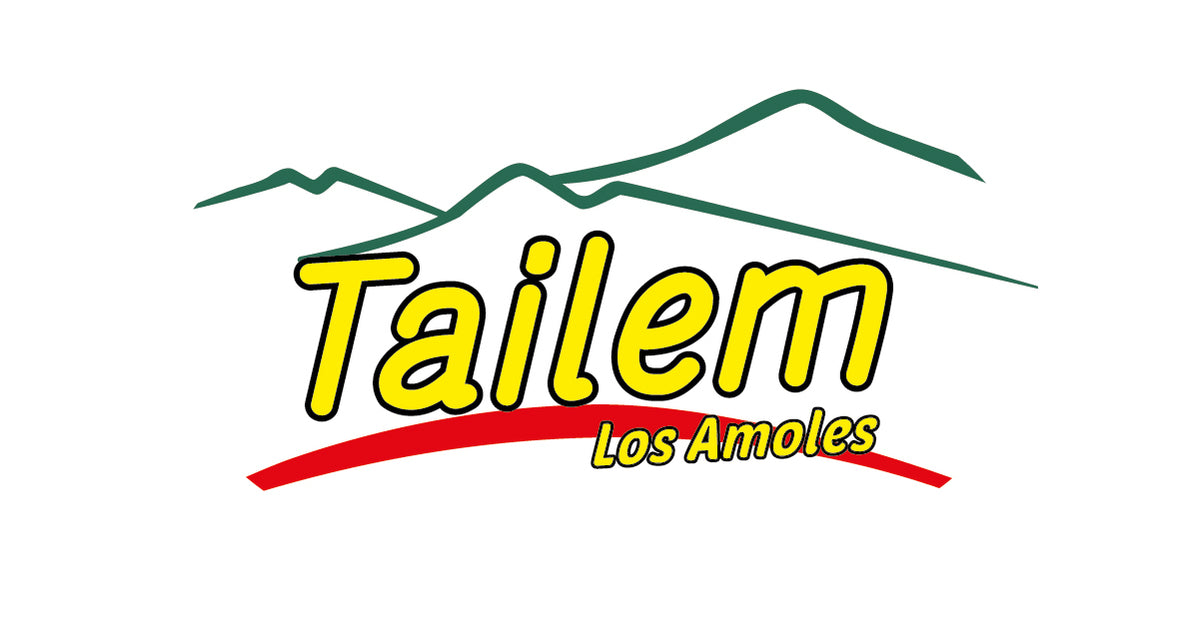 Botana A Granel Regional Frituras Baston Chile 200 Gr – Tailem Los Amoles
